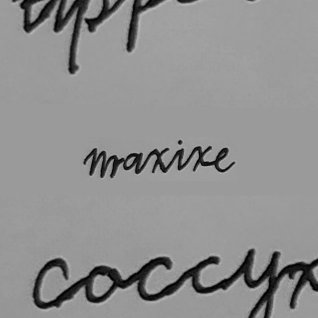 Hand_Written_text_seg Object Detection Dataset and Pre-Trained Model by APP