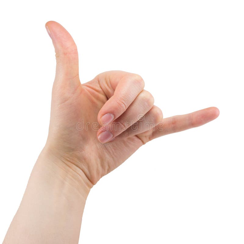 human hand poses Detection Keypoint Detection Model by pasha