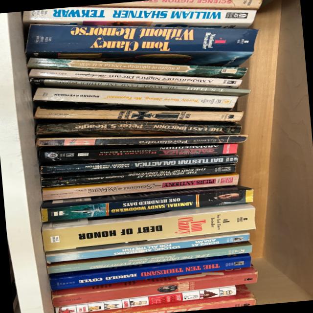 book-seg Instance Segmentation Dataset by temp