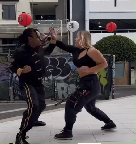 Final-year project Object Detection Dataset by fyp workspace