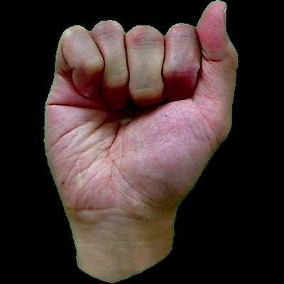 How to Use the Sign_language Object Detection API