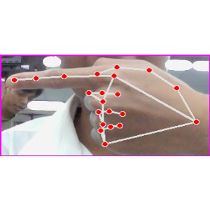 hand_gesture Classification Model by phuri