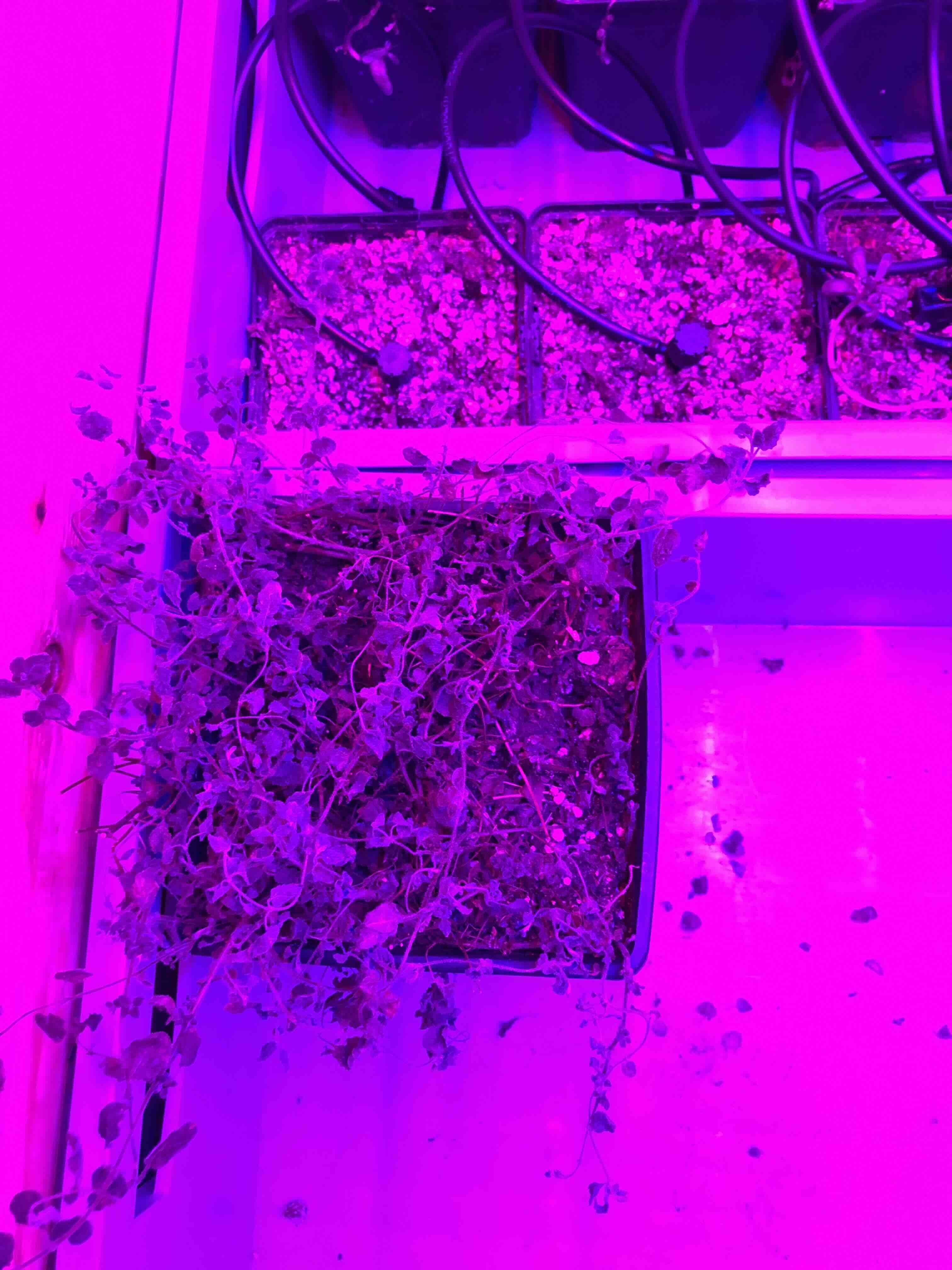 Rgb Model Object Detection Dataset And Pre Trained Model By Demonstrator