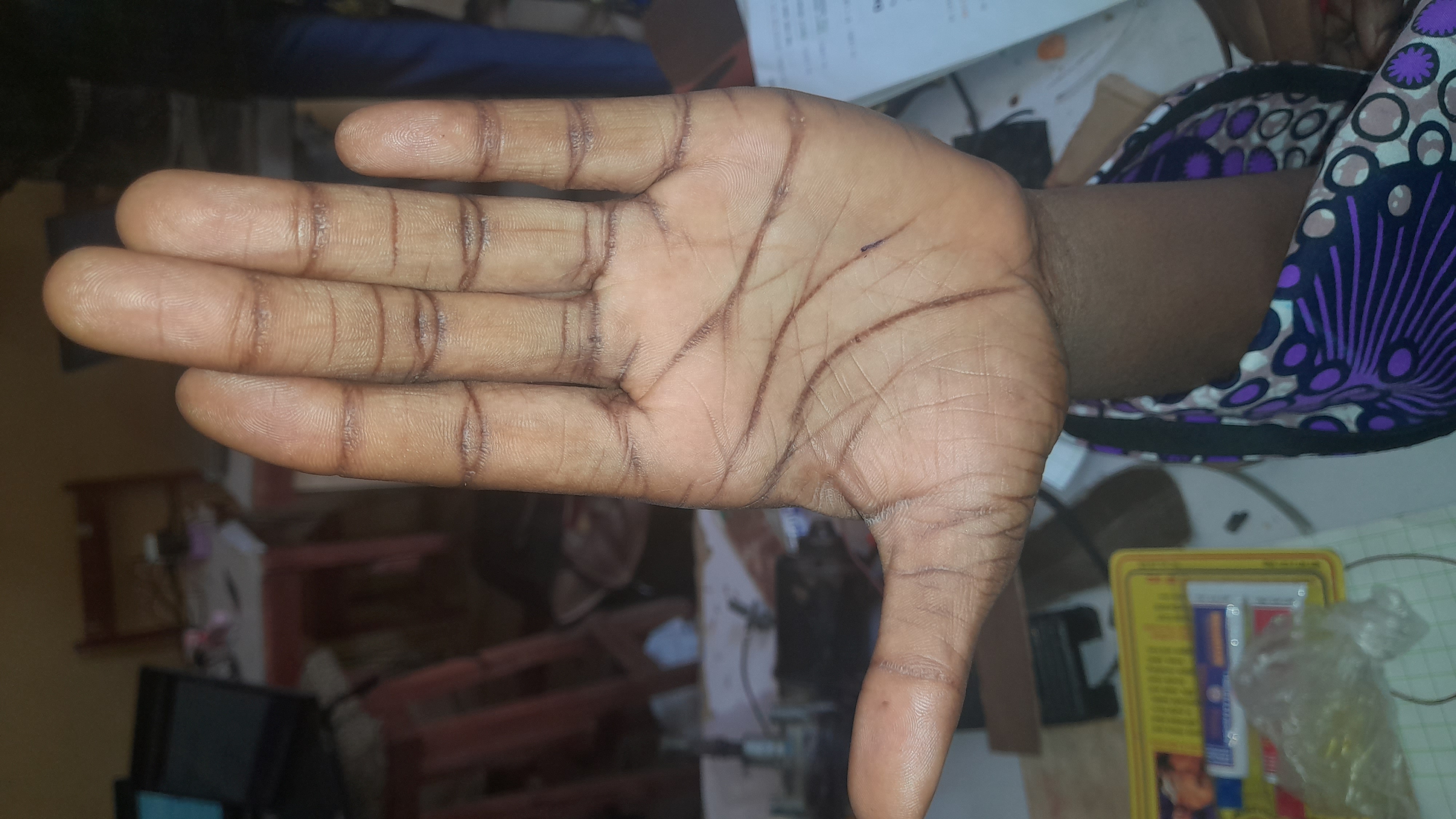 Gesture Object Detection Dataset By Elt