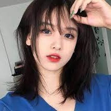 CV++_Seminar Object Detection Dataset and Pre-Trained Model by Onion