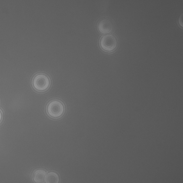 Bead Detection 1 Object Detection Dataset and Pre-Trained Model by Vicente Workspace