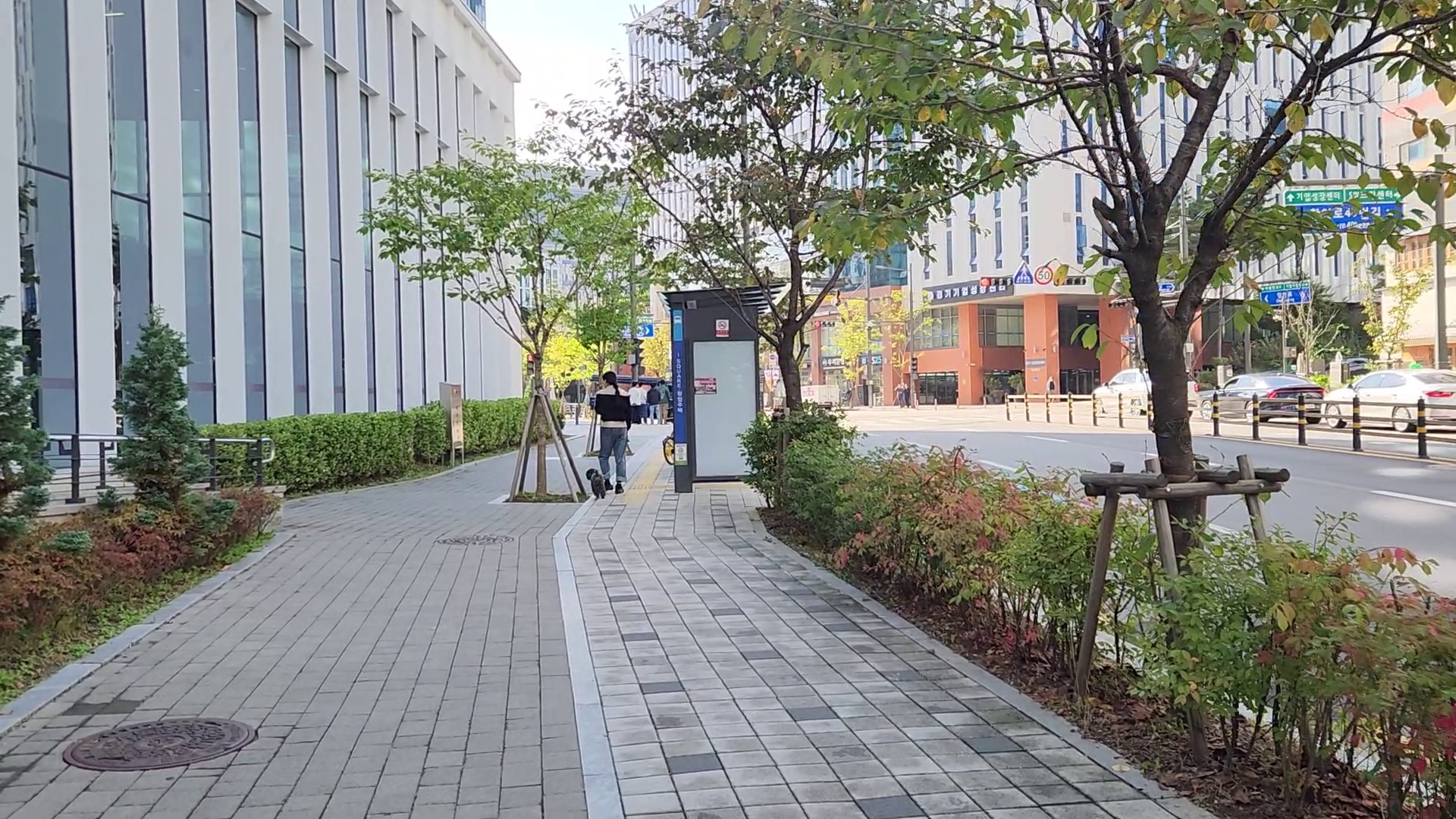 Bus Object Detection Dataset by yolo