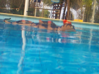 Object detection (Bounding box) Object Detection Dataset and Pre-Trained Model by NTC Thon