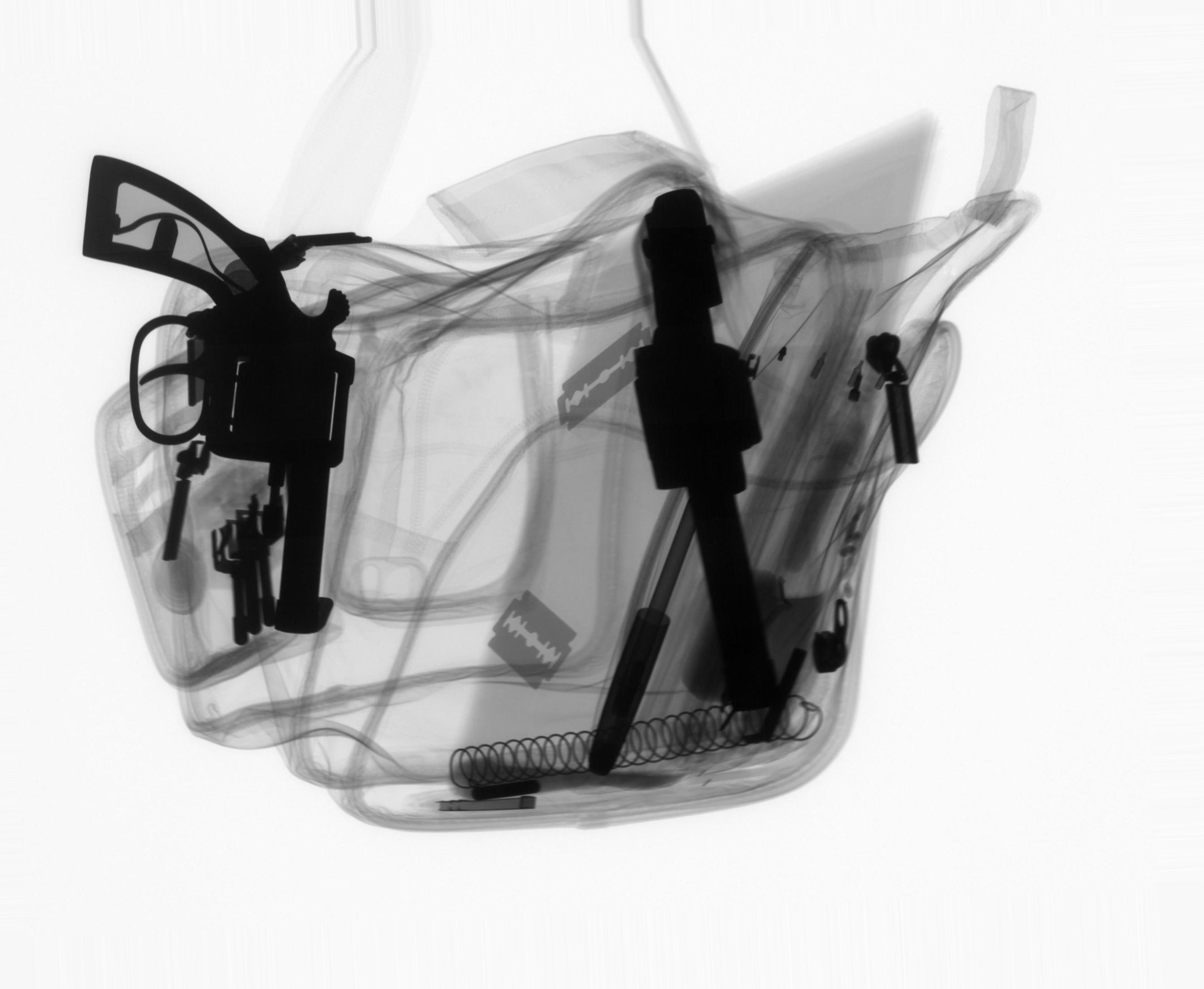 Cv Dataset Object Detection Dataset By Evm
