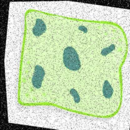 Bread Mold Detection Object Detection Dataset and Pre-Trained Model by gopletzzz