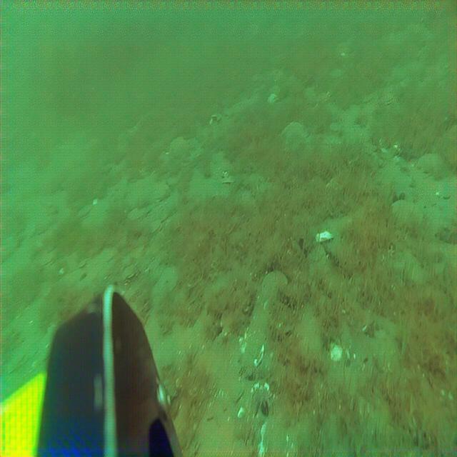 big_under Object Detection Dataset by NabahirwaFlorence2 model