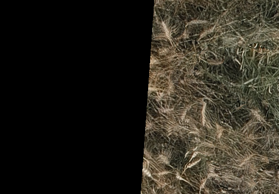 Wheat-Yield-Estimation-2-Yolov8 Object Detection Dataset by ZainAitec