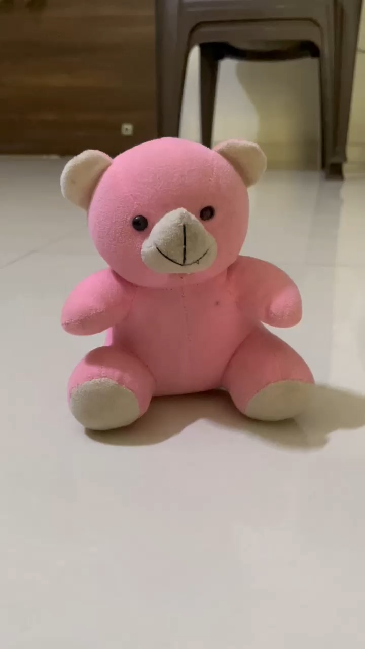 Teddy Object Detection Model by WORKAHOLIC