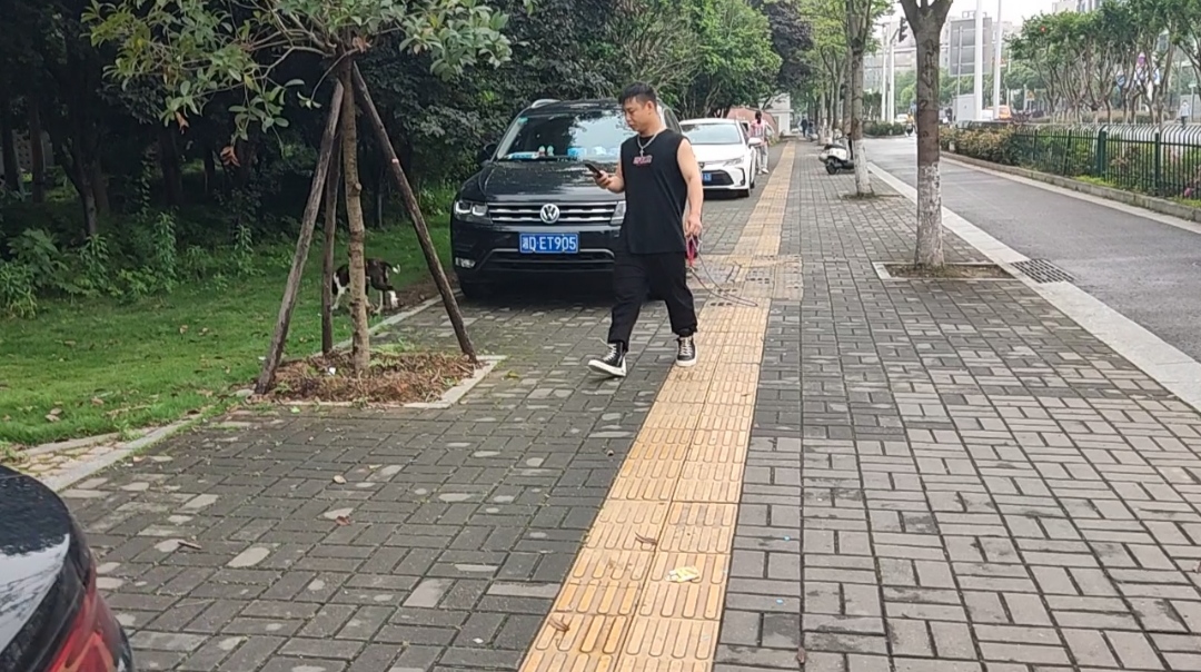 yolov8bz Instance Segmentation Dataset (v1, 2024-05-04 2:06pm) by yolov8