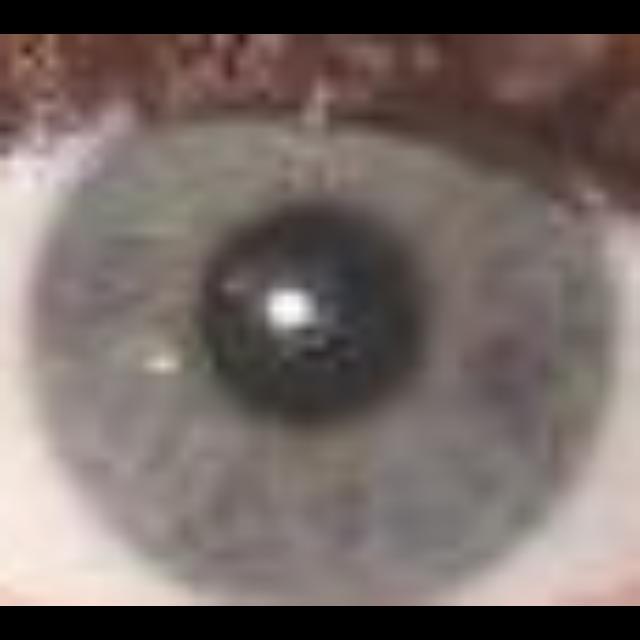 Eye Color Analysis Test Object Detection Model by Ash