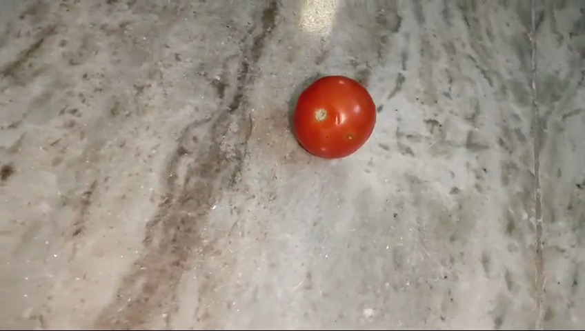Tomato Instance Segmentation Dataset V1 Tomato By Innovers