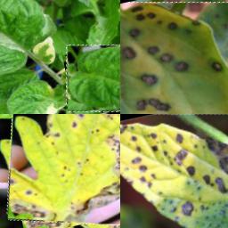 PlantDoc_With_PlantVillage_DataSet Object Detection Dataset by PData1