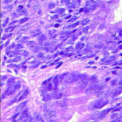 915 images Object Detection Dataset by none