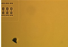 waferdefect Object Detection Model by study