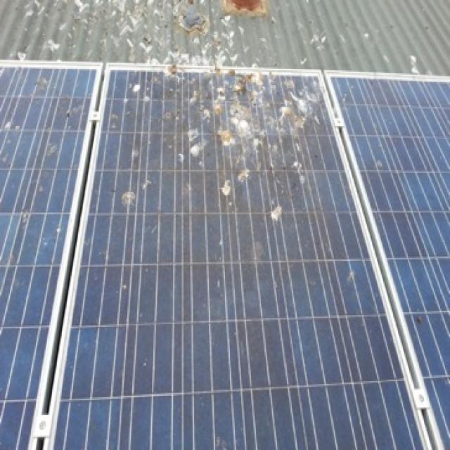 Solar Panel Faulty Detection Object Detection Dataset And Pre Trained