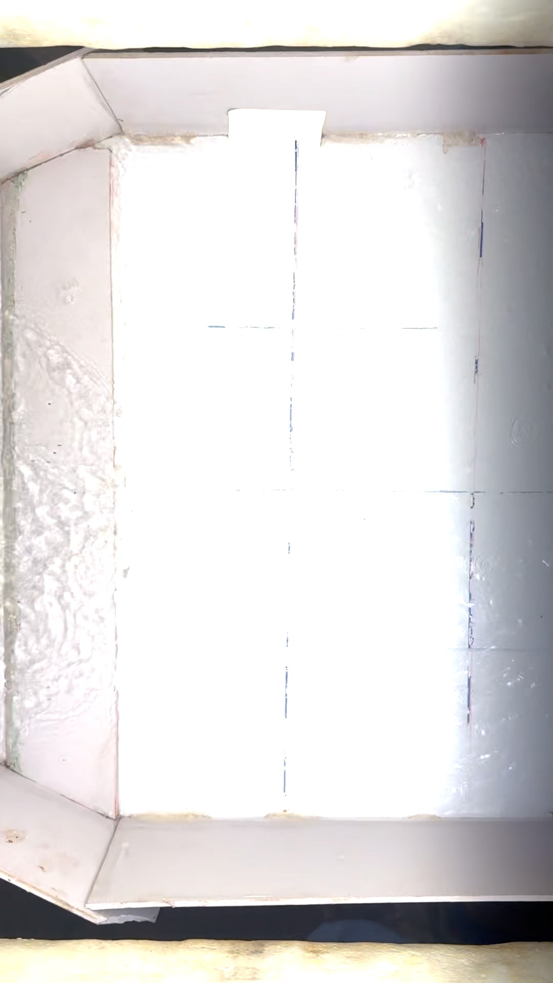 tilapia 600 Object Detection Dataset and Pre-Trained Model by tilapia 100