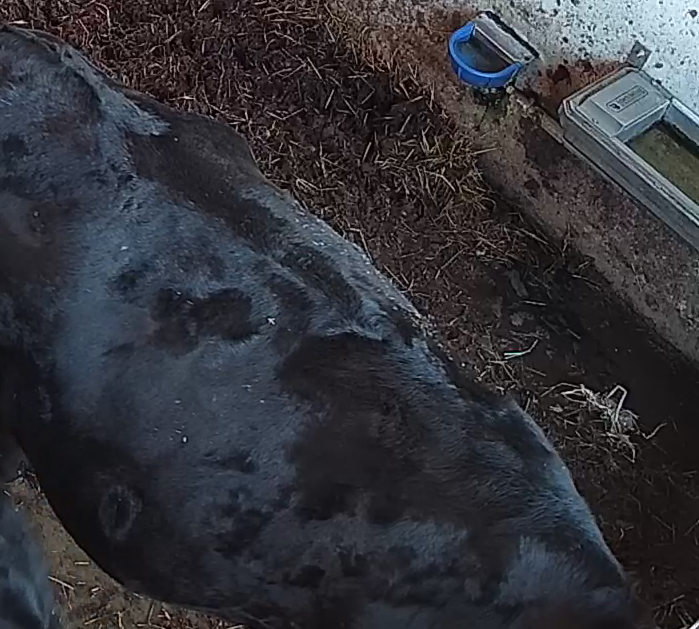 back segmentation Object Detection Dataset by Paolo Litta