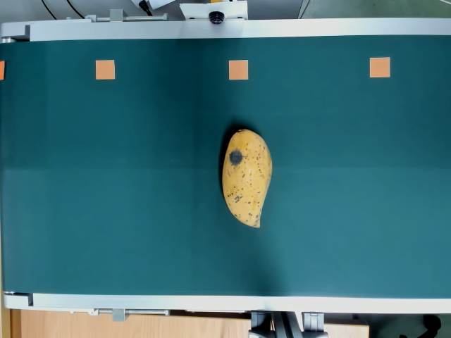 Mango Object Detection Model By Workspace01