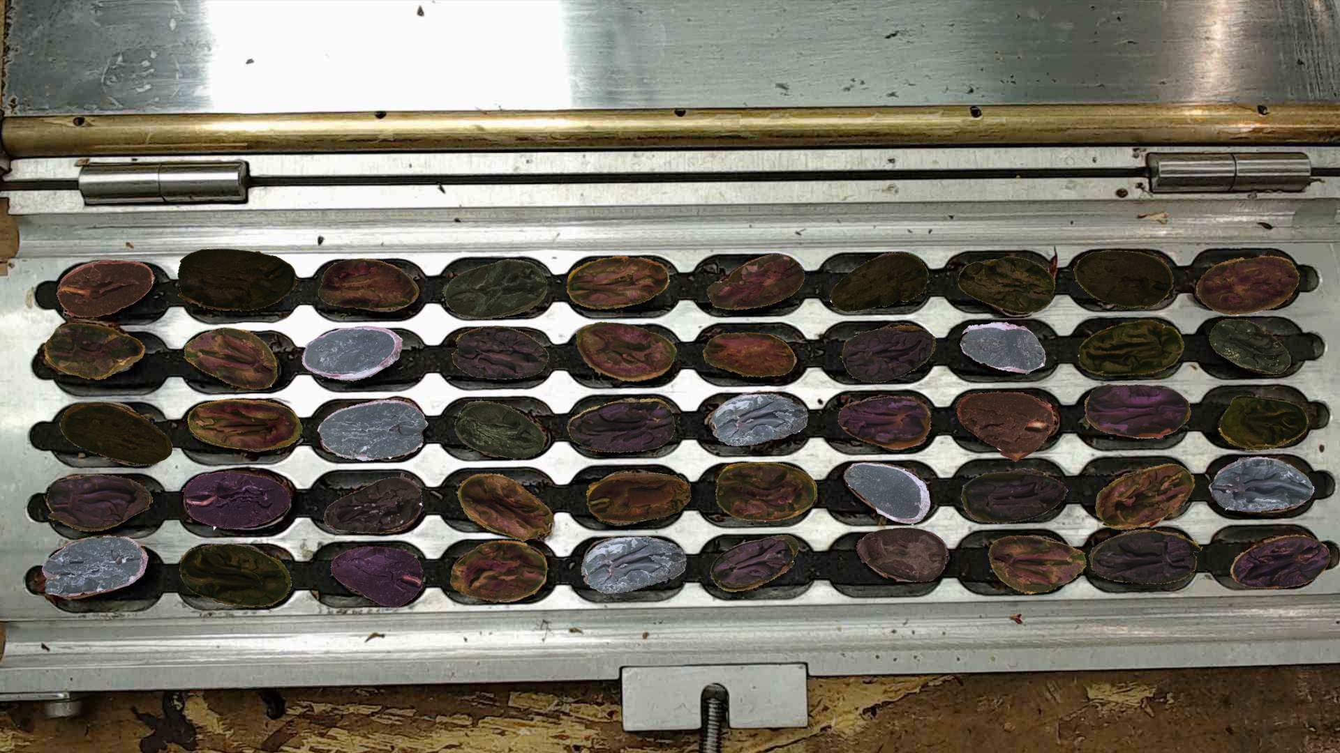 Cacao-Beans-ISCQFv2 Object Detection Dataset by Design Project