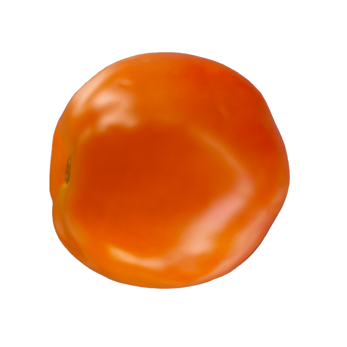 Kamatis (kamatis-jgw6y) - Roboflow Universe