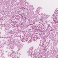 CMI Lab - Roboflow Universe