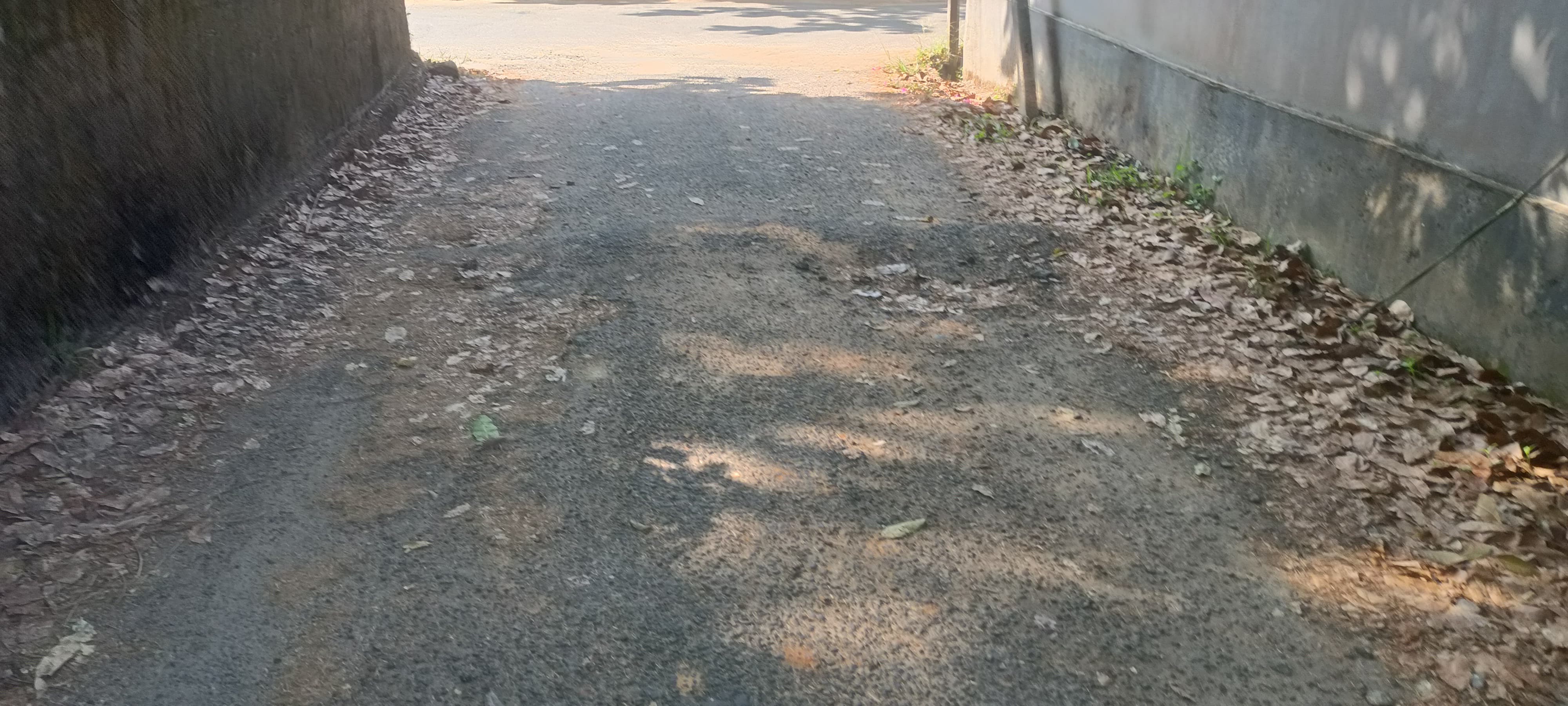 Pothole Detection Instance Segmentation Dataset and Pre-Trained Model by Project