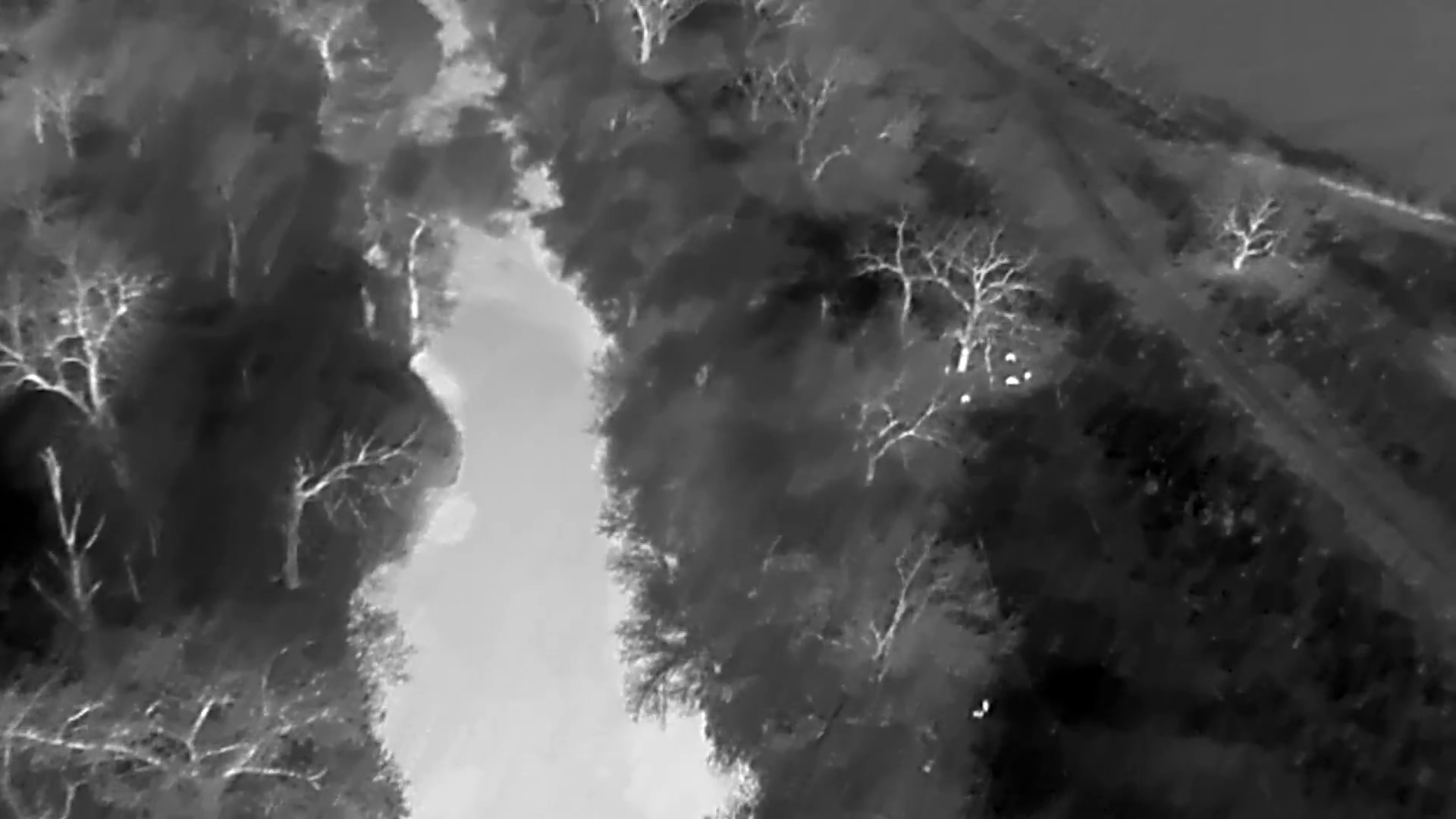 Custom Workflow Object Detection Object Detection Dataset by kam