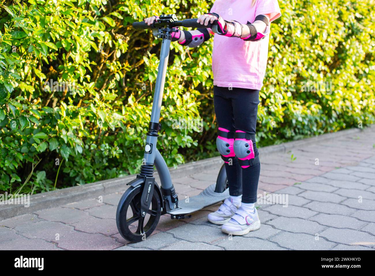 Kickboard_Detection Object Detection Dataset and Pre-Trained Model by workspace1