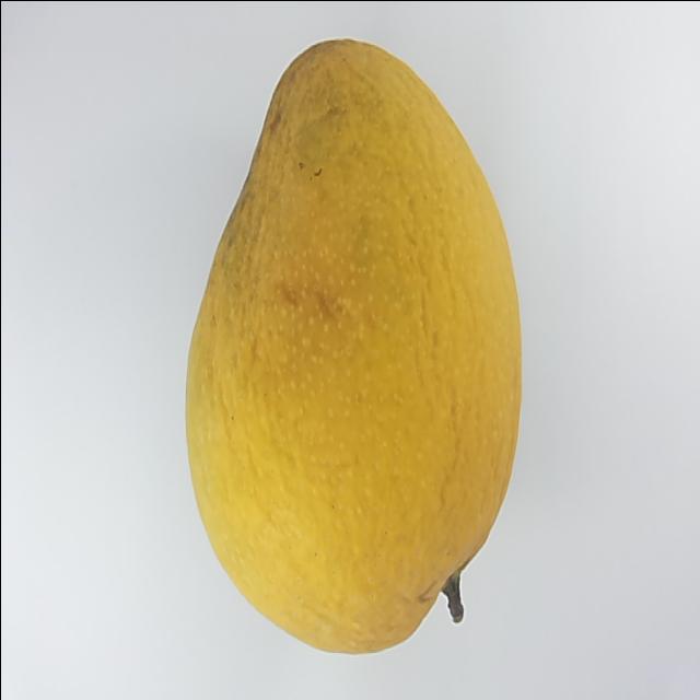 mango Object Detection Dataset and Pre-Trained Model by mango2