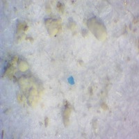 Top Microplastic Datasets and Models | Roboflow Universe