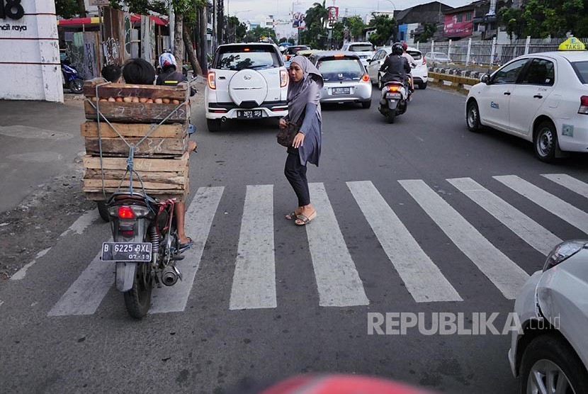 Zebra_Cross Object Detection Dataset by THIS