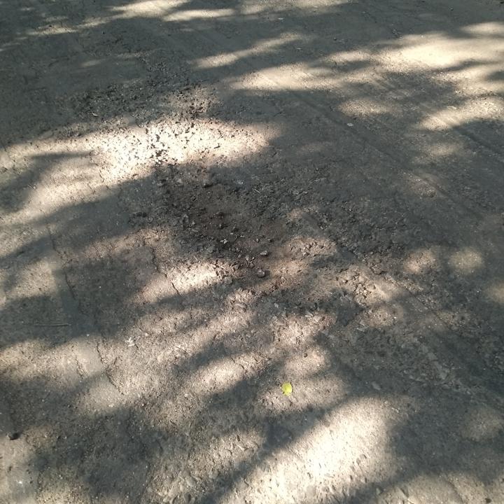 Potholes And Bumps Detection Object Detection Dataset And Pre Trained