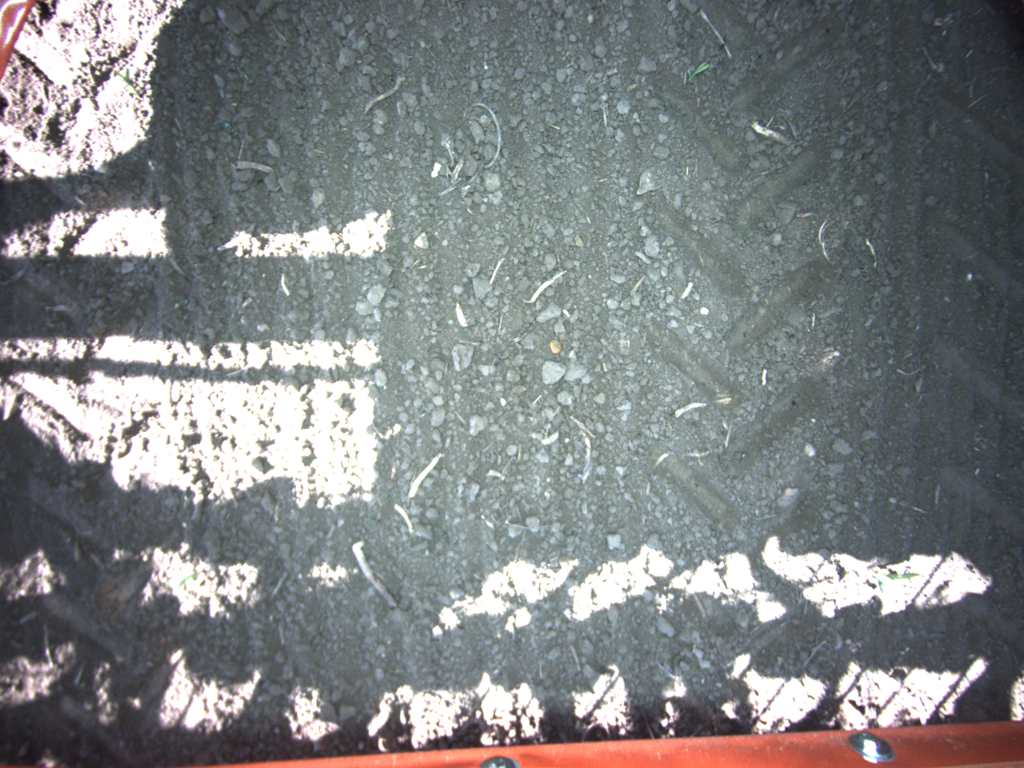 Plant Segmentation Instance Segmentation Dataset By Markusworkspace