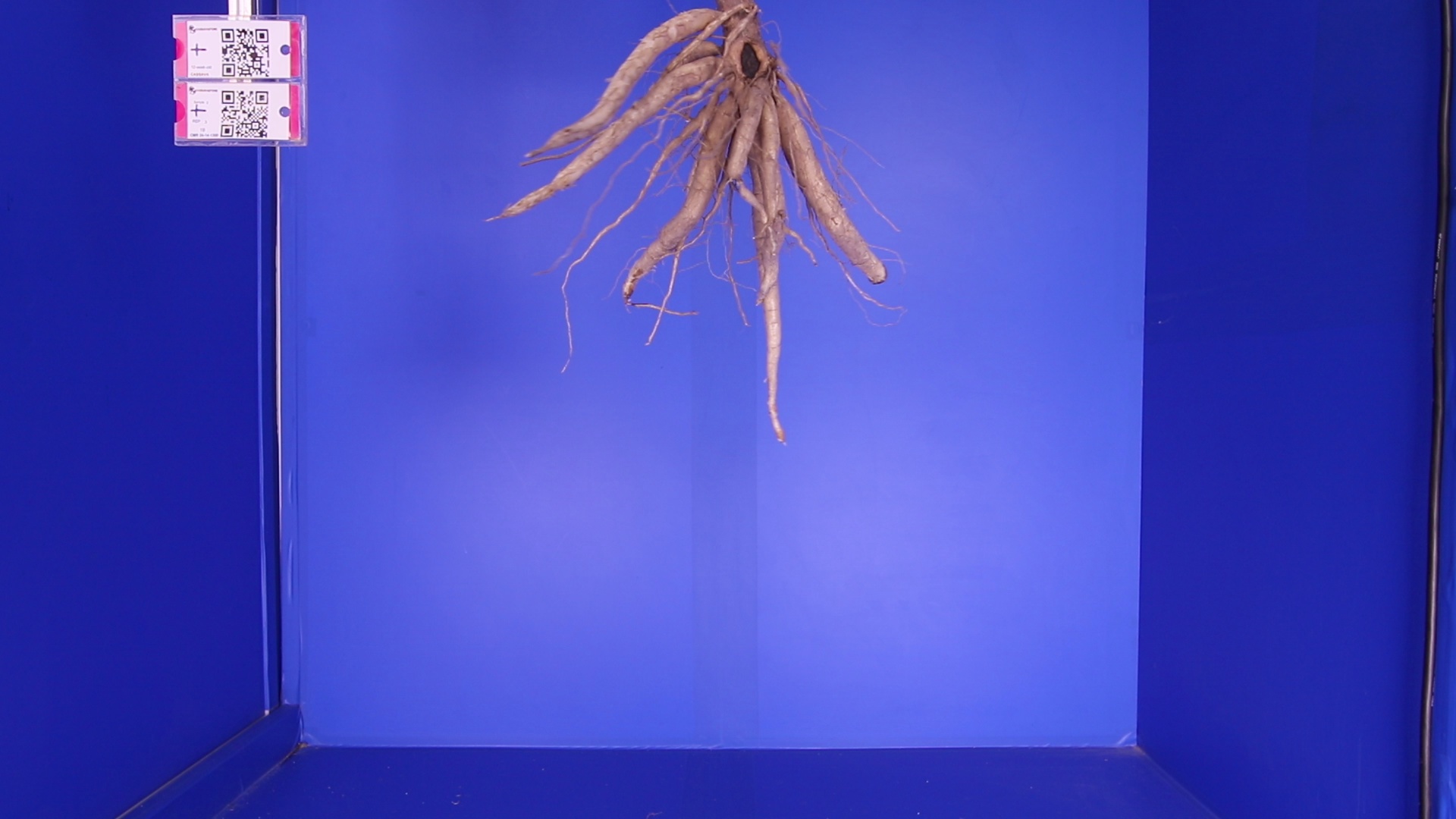 Stamp Test Object Detection Dataset By Stamp