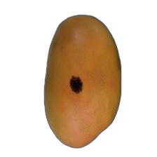 mango disease Object Detection Dataset by Tugas