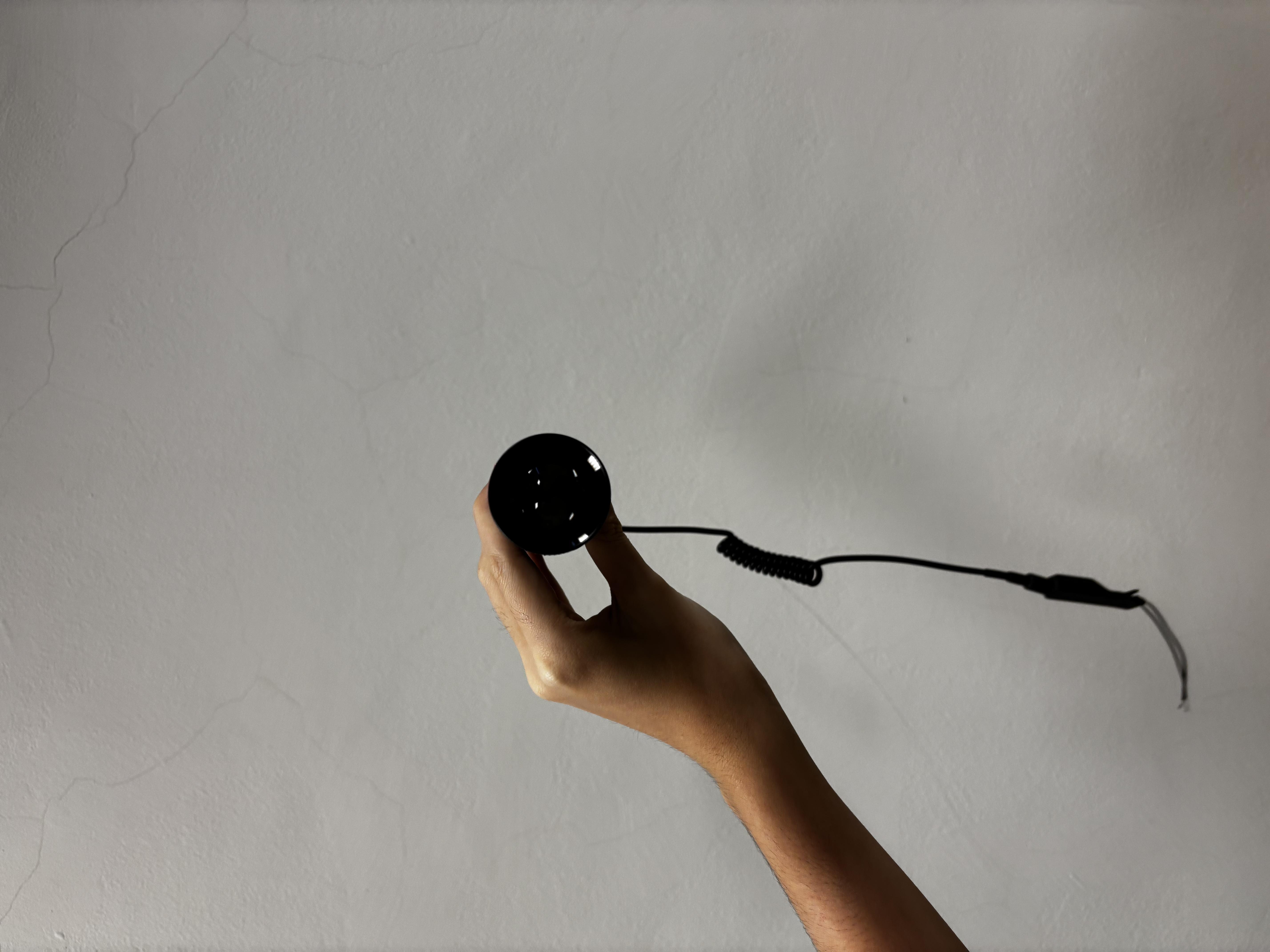 Torch Dataset Object Detection Model By Torch Data Mp