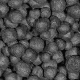 Iron Pellets Instance Segmentation Dataset by hamitouche