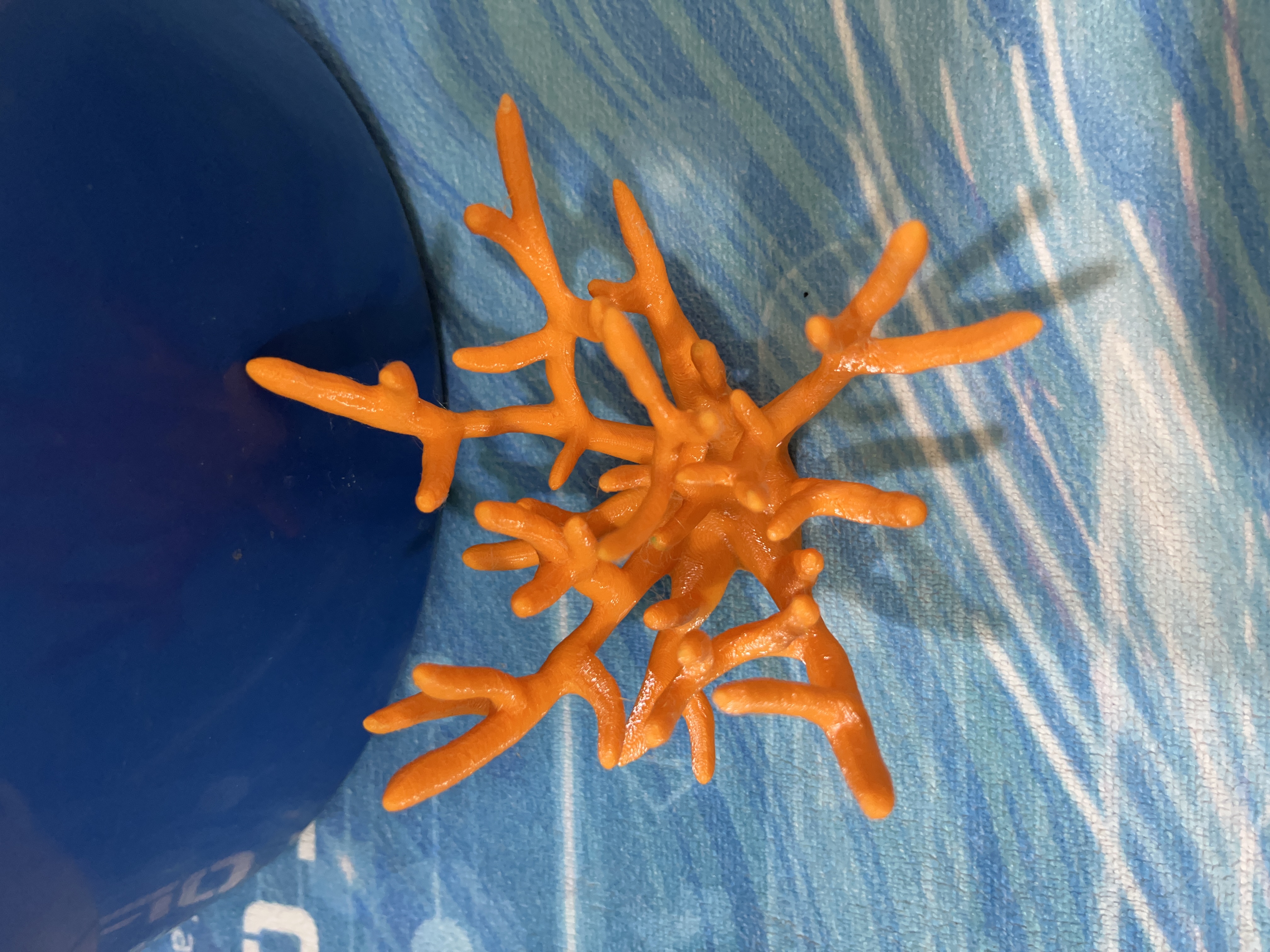 Coral Instance Segmentation Dataset by JayL