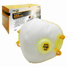 x Mask Object Detection Dataset by ppe