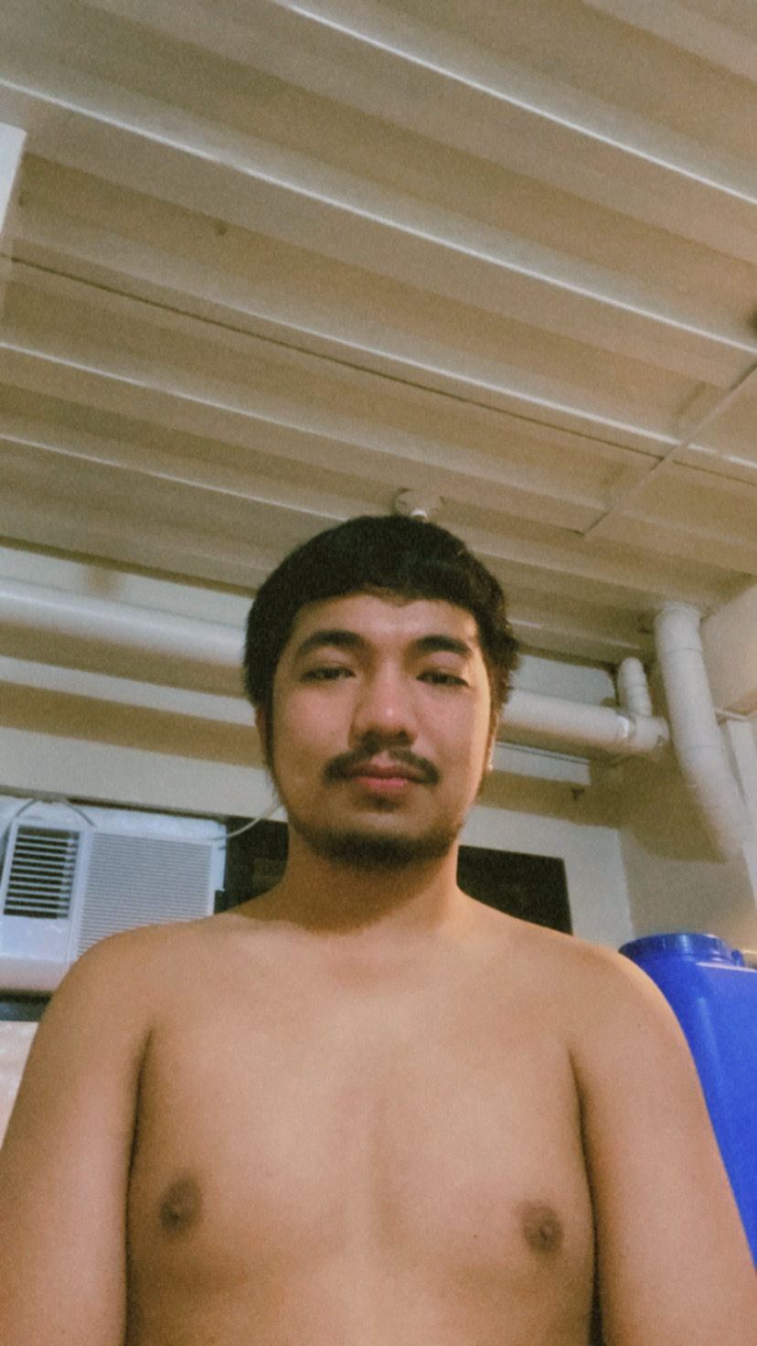 How To Use The Projectart V2 Object Detection Api