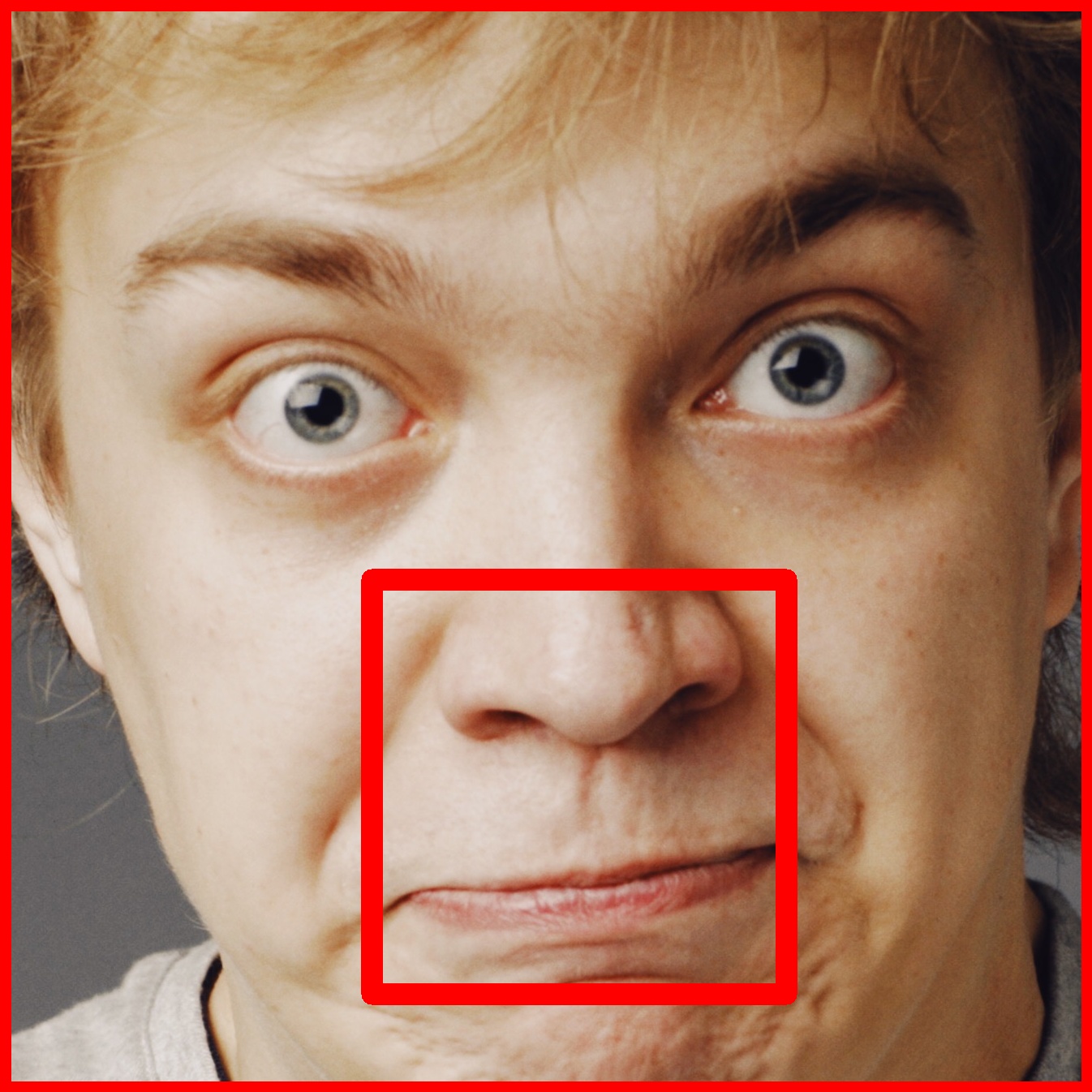 angry dataset Object Detection Dataset by DATA270