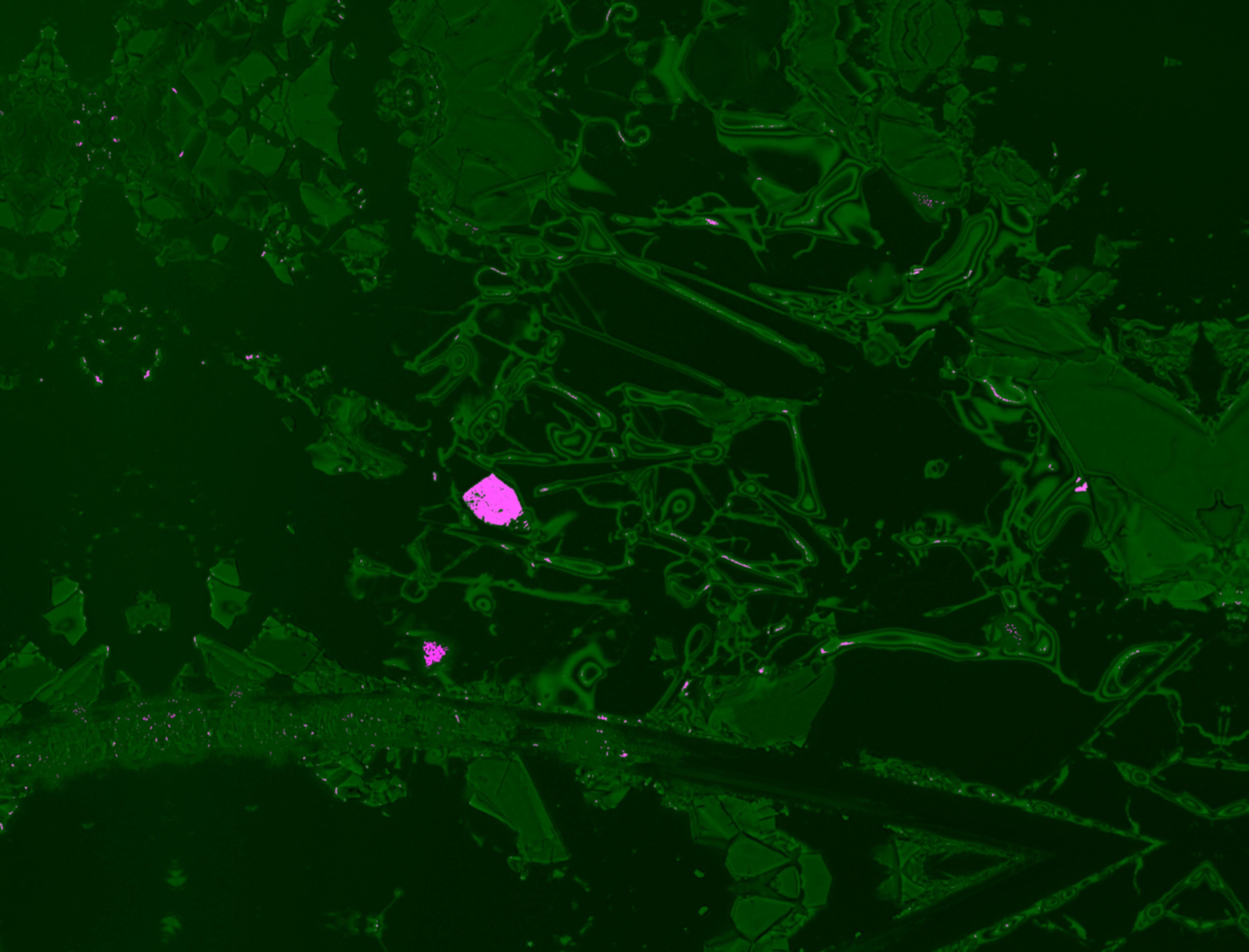 final4 Object Detection Dataset by 2D materials