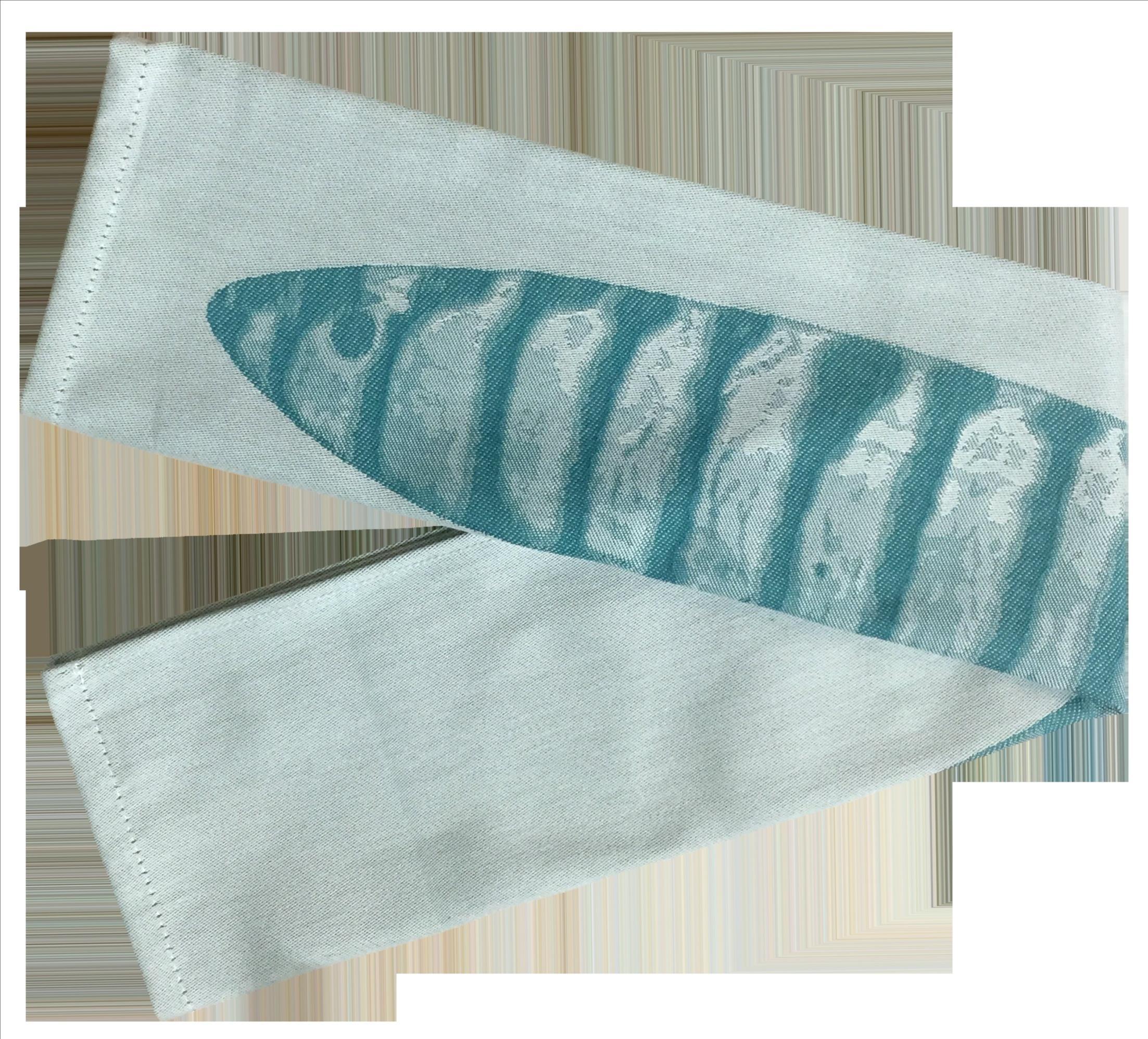 Towel Detection Object Detection Dataset By Zezamii