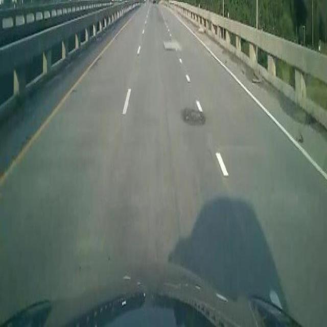 sb-ph-det Object Detection Dataset by ADV