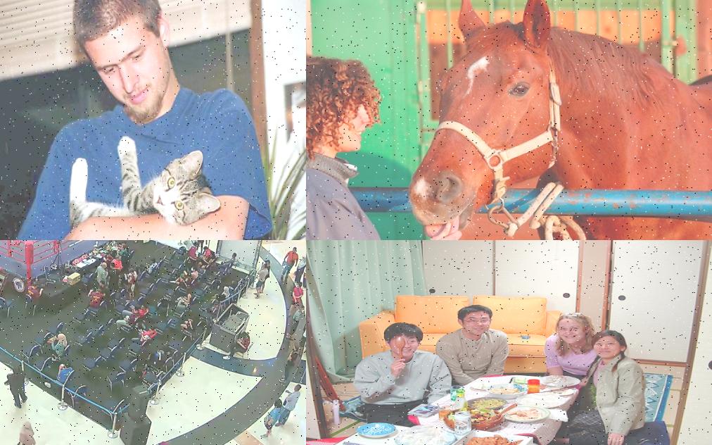 Weapon Detection Object Detection Dataset By Ml